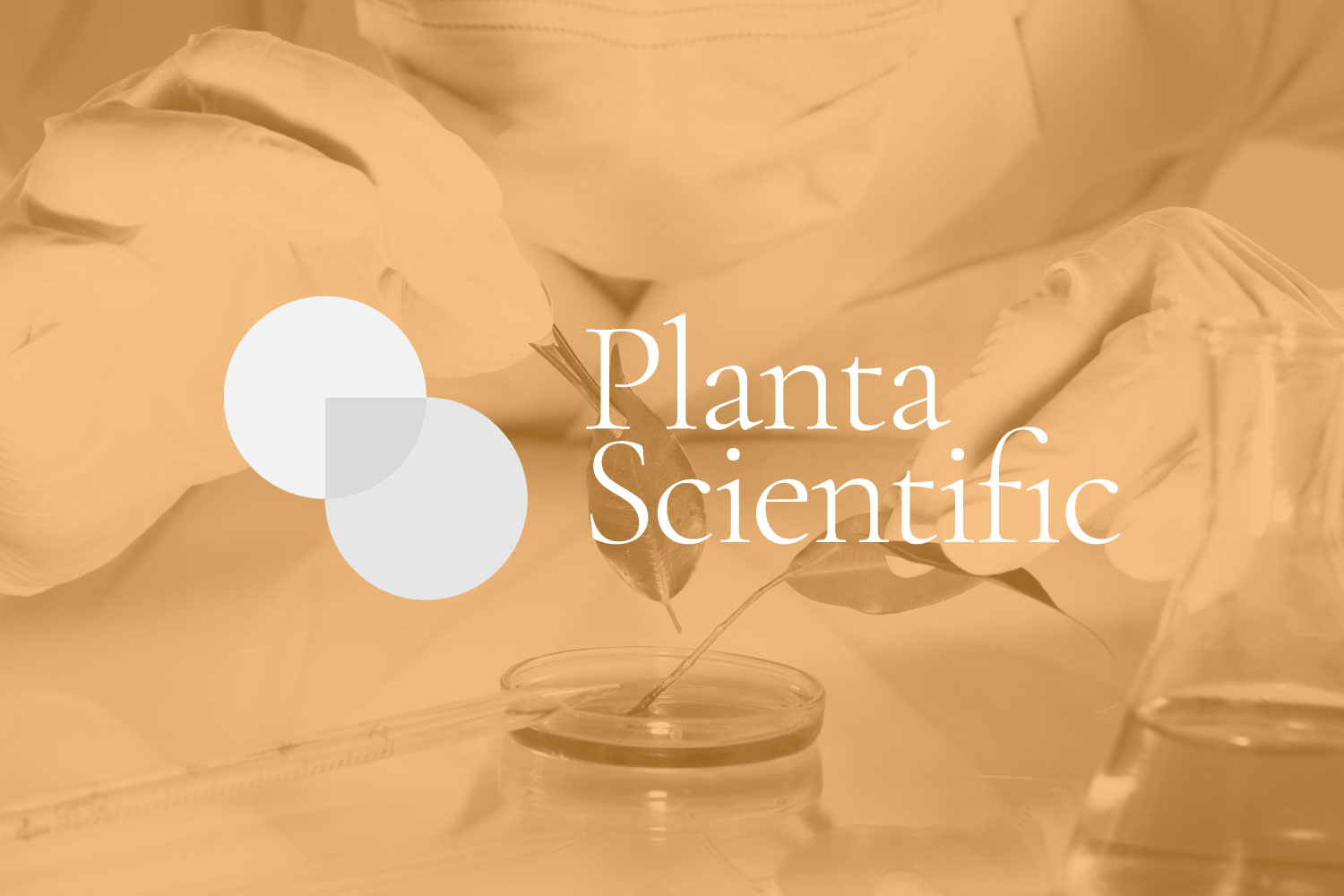 Organic SEO biotech marketing